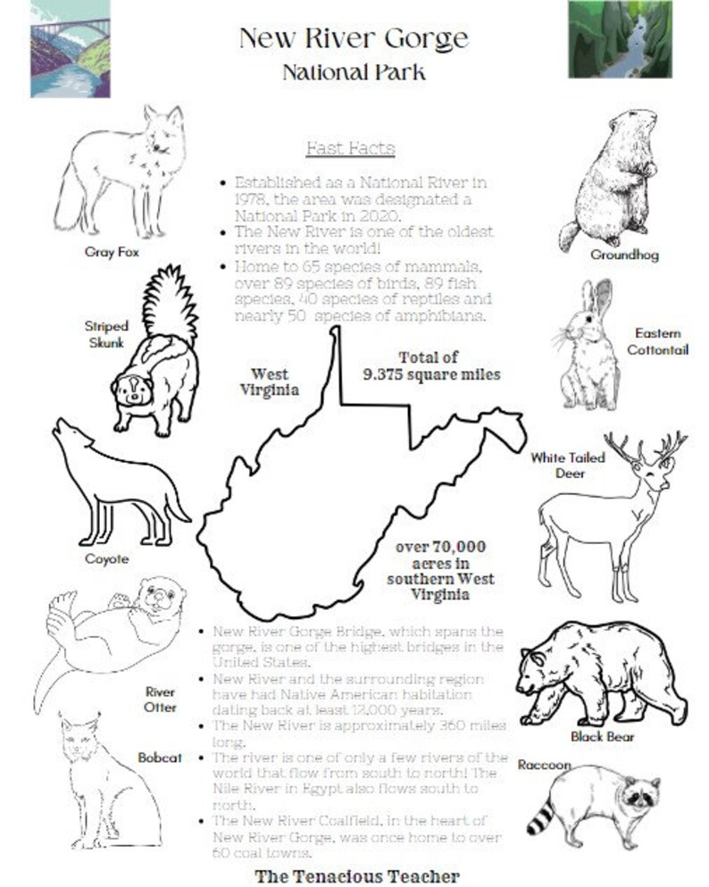 New River Gorge National Park Printables | Digital Download Coloring ...
