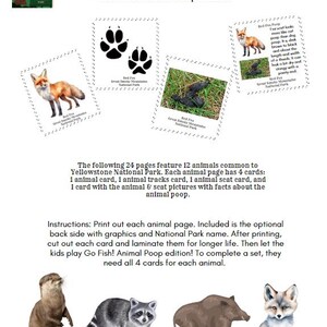 Yellowstone National Park Printables | Digital Download Coloring Pages ...