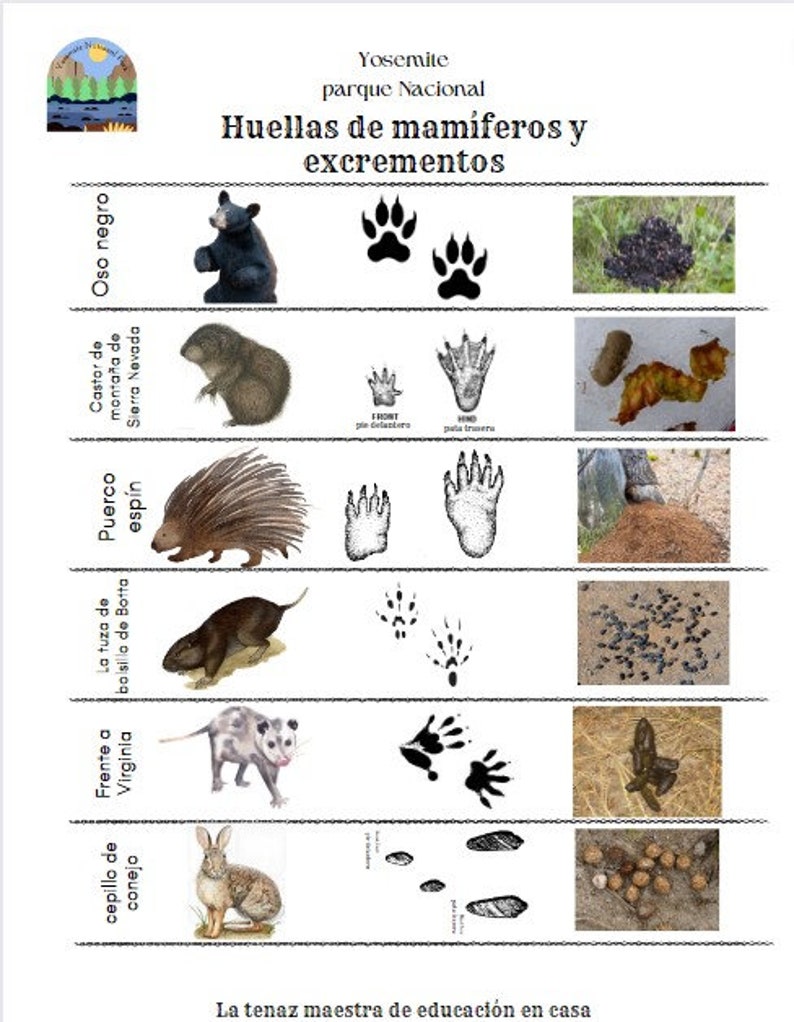 Imprimibles Del Parque Nacional Yosemite | Descarga Digital De Pistas Y ...