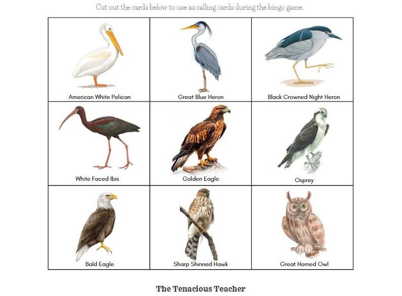 Yellowstone National Park Wildlife Bingo Printable | Digital Download ...