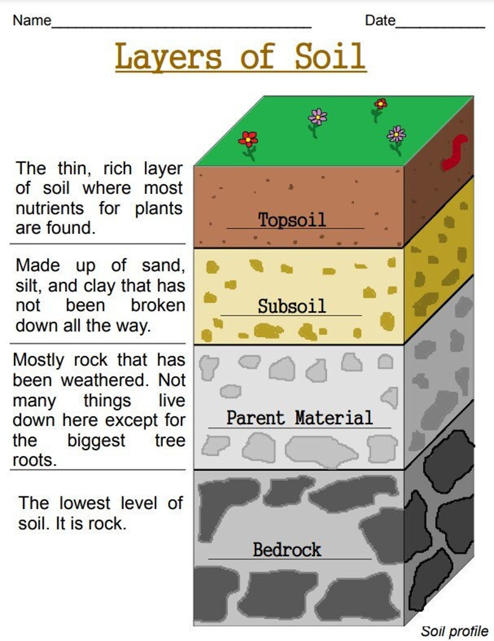 Layers of Soil Printable Worksheets | Digital Download Earth Science ...