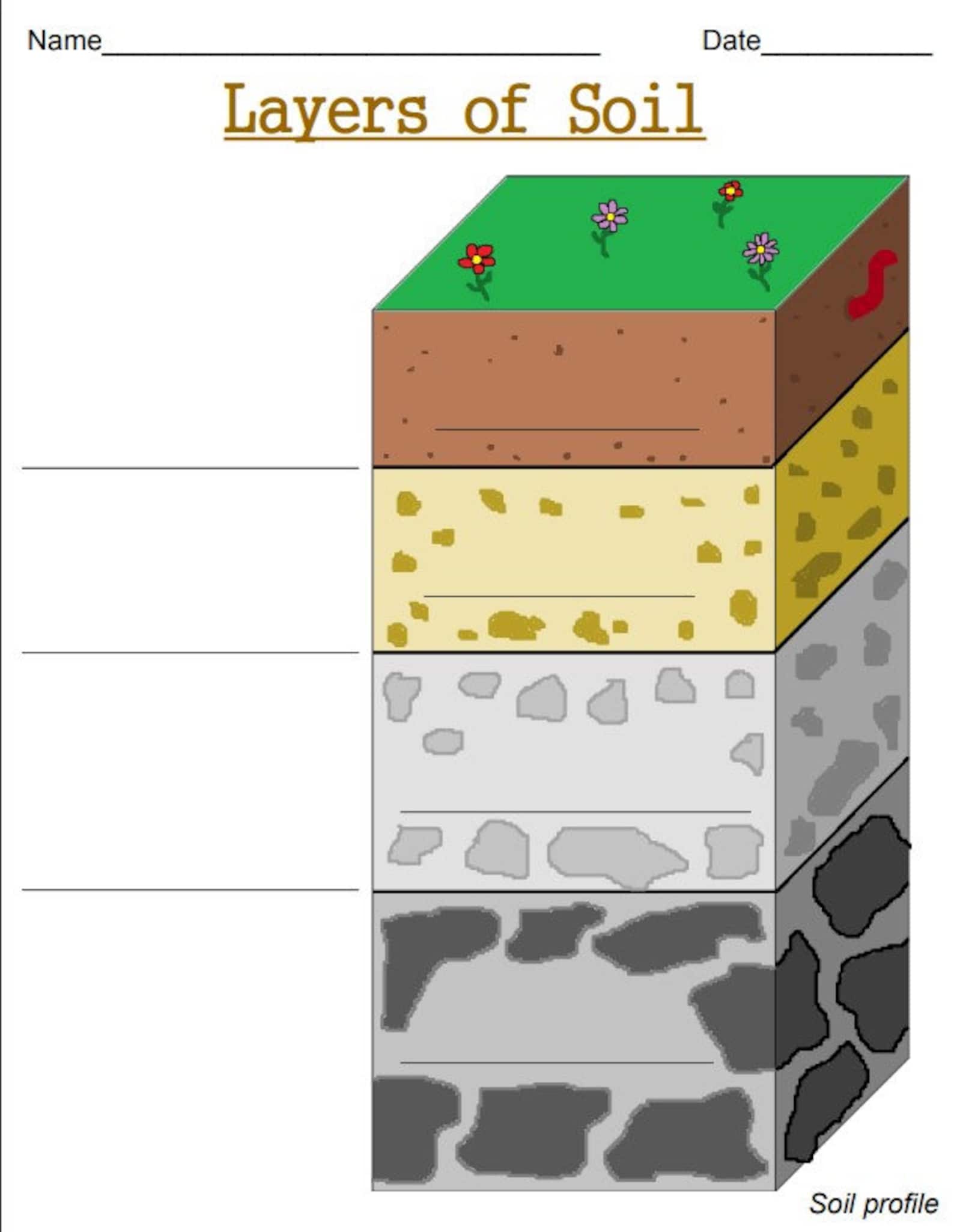 Layers of Soil Printable Worksheets | Digital Download Earth Science ...