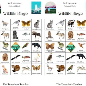 Yellowstone Wildlife Bingo | National Parks Game (digital Download) - Etsy