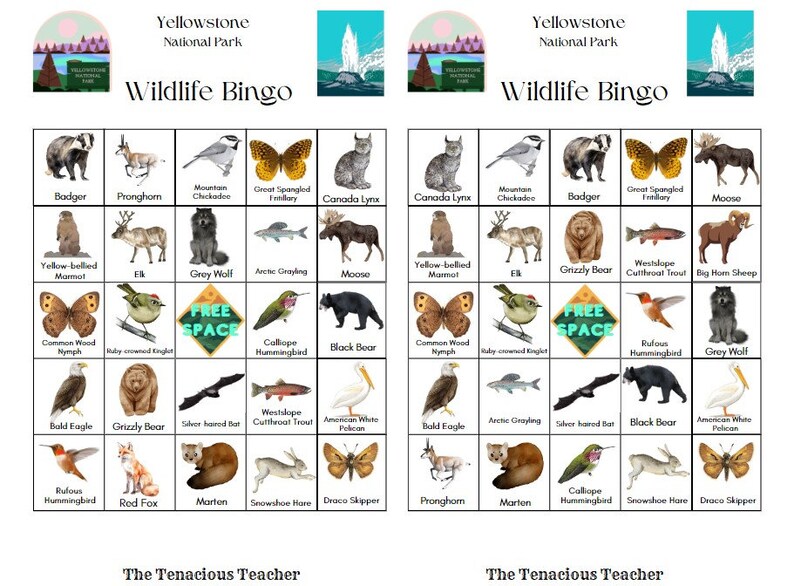 Yellowstone National Park Wildlife Bingo Printable | Digital Download ...