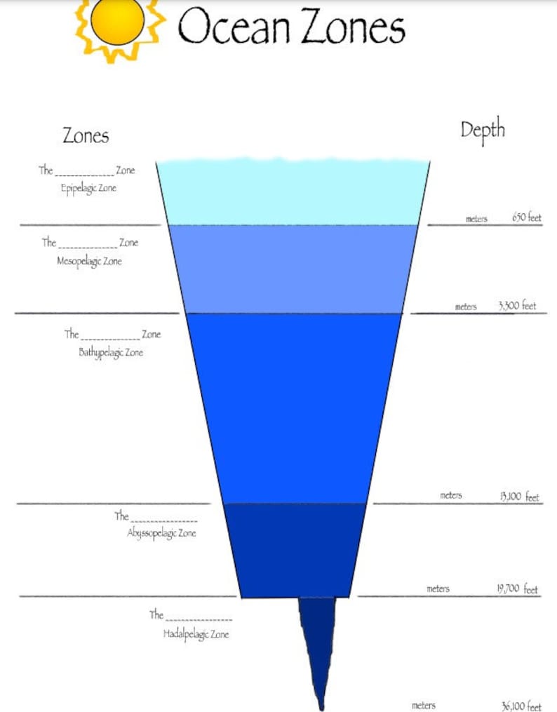 Printable Ocean Zones Diagrams | Digital Download Earth Science ...