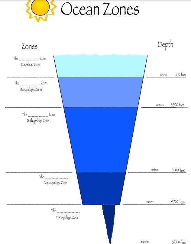 Printable Ocean Zones Diagrams | Digital Download Earth Science ...