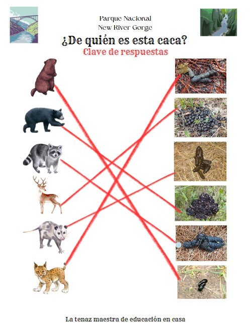 Imprimibles Del Parque Nacional New River Gorge | Descarga Digital De ...