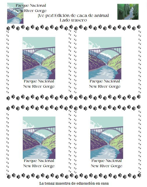 Imprimibles Del Parque Nacional New River Gorge | Descarga Digital De ...