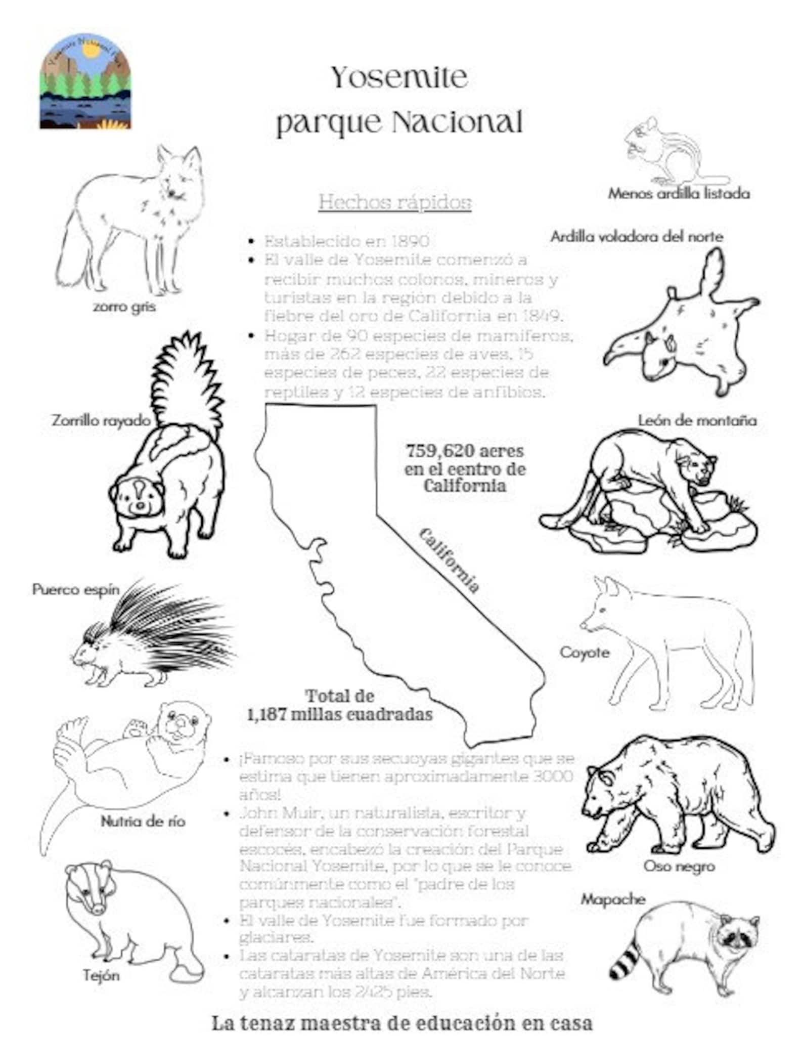 Imprimibles Del Parque Nacional Yosemite | Descarga Digital De Pistas Y ...