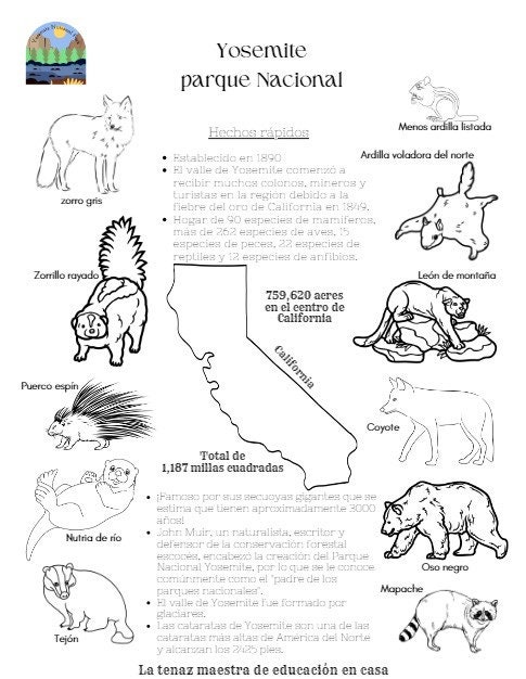 Imprimibles Del Parque Nacional Yosemite Descarga Digital De - Etsy