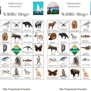 Yellowstone Wildlife Bingo | National Parks Game (digital Download) - Etsy