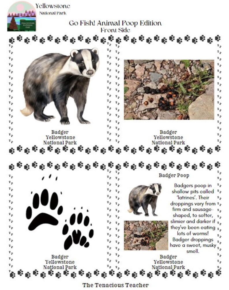 Yellowstone National Park Printables | Digital Download Coloring Pages ...