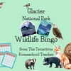 New River Gorge National Park Printables Digital Download Coloring ...
