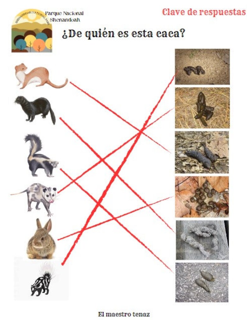 Imprimibles Del Parque Nacional Shenandoah Descarga Digital - Etsy