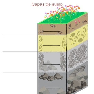 Capas De Suelo [layers of Soil in Spanish] - Etsy