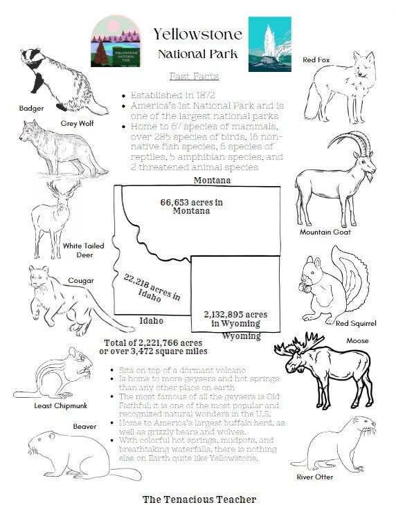 Yellowstone National Park Activity Pack | Coloring Pages, Tracks, Go ...