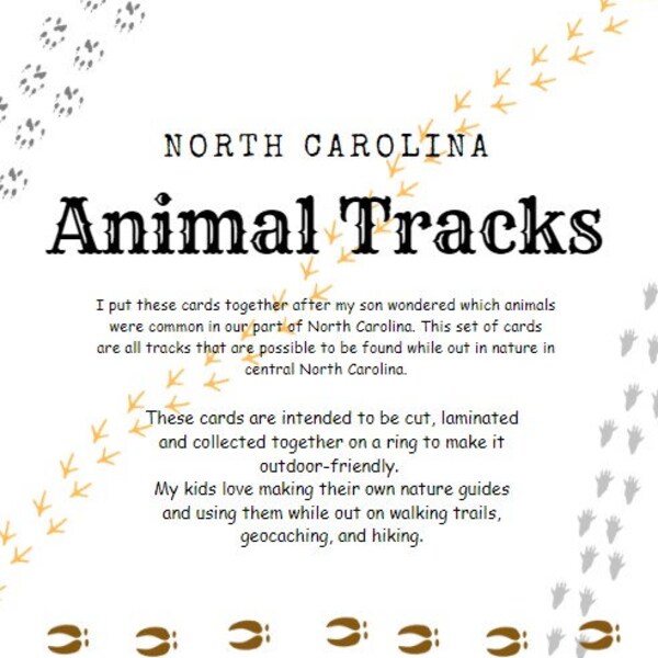 Animal Track of the North - Etsy