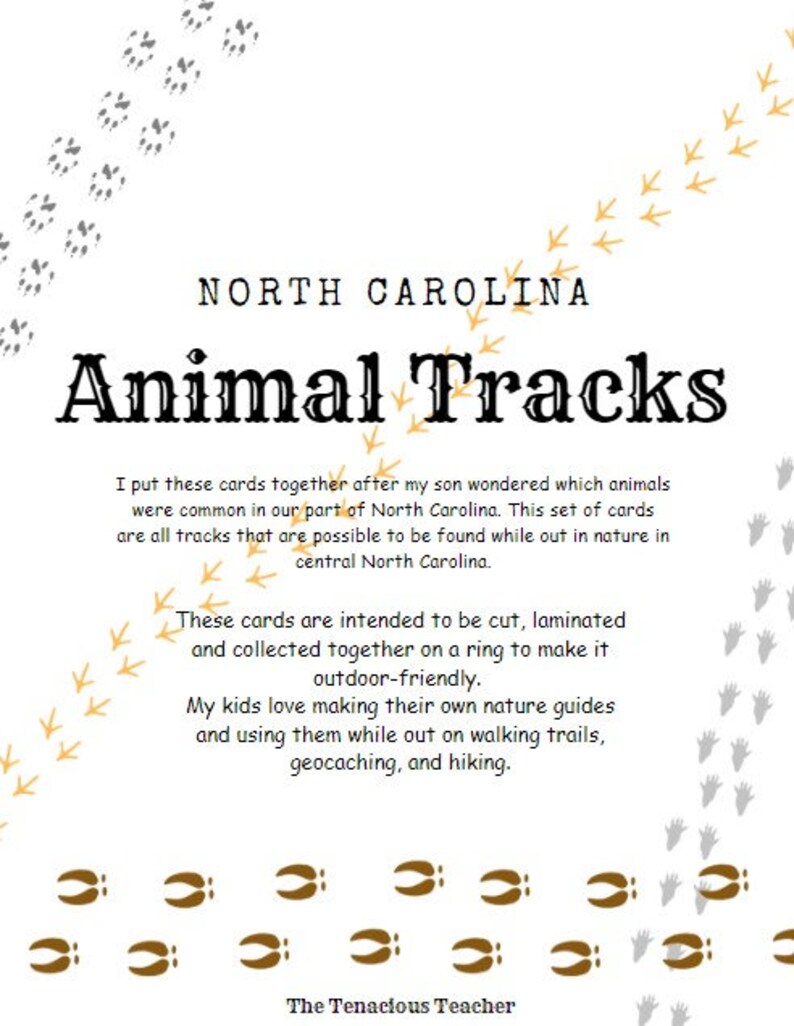 Animal Tracks of NC Printable Cards | Nature Study Digital Download ...