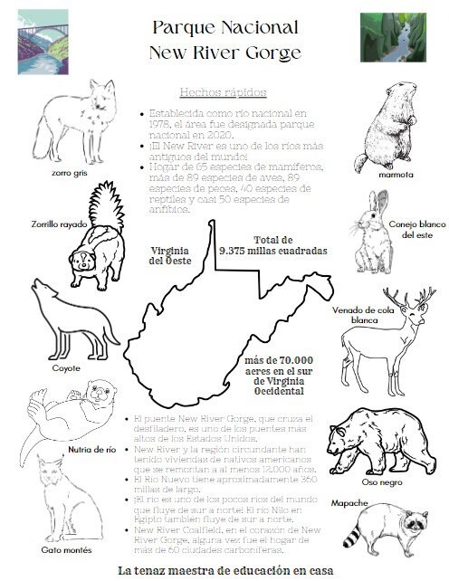 Imprimibles Del Parque Nacional New River Gorge | Descarga Digital De ...