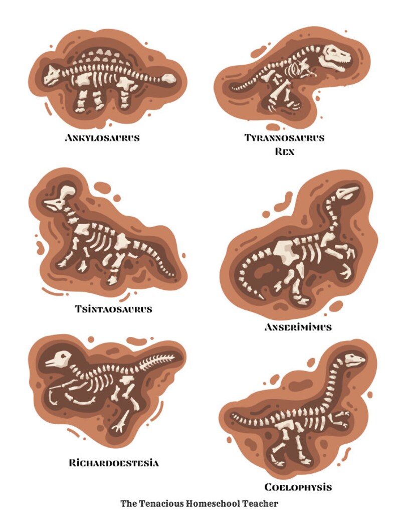 Dinosaur Fossil Activities Dino Fossils Learning Pages Prehistoric ...
