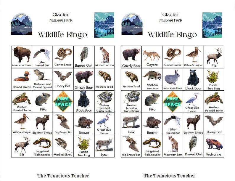 Glacier National Park Wildlife Bingo Printable | Digital Download ...