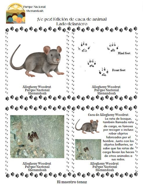 Imprimibles Del Parque Nacional Shenandoah Descarga Digital - Etsy