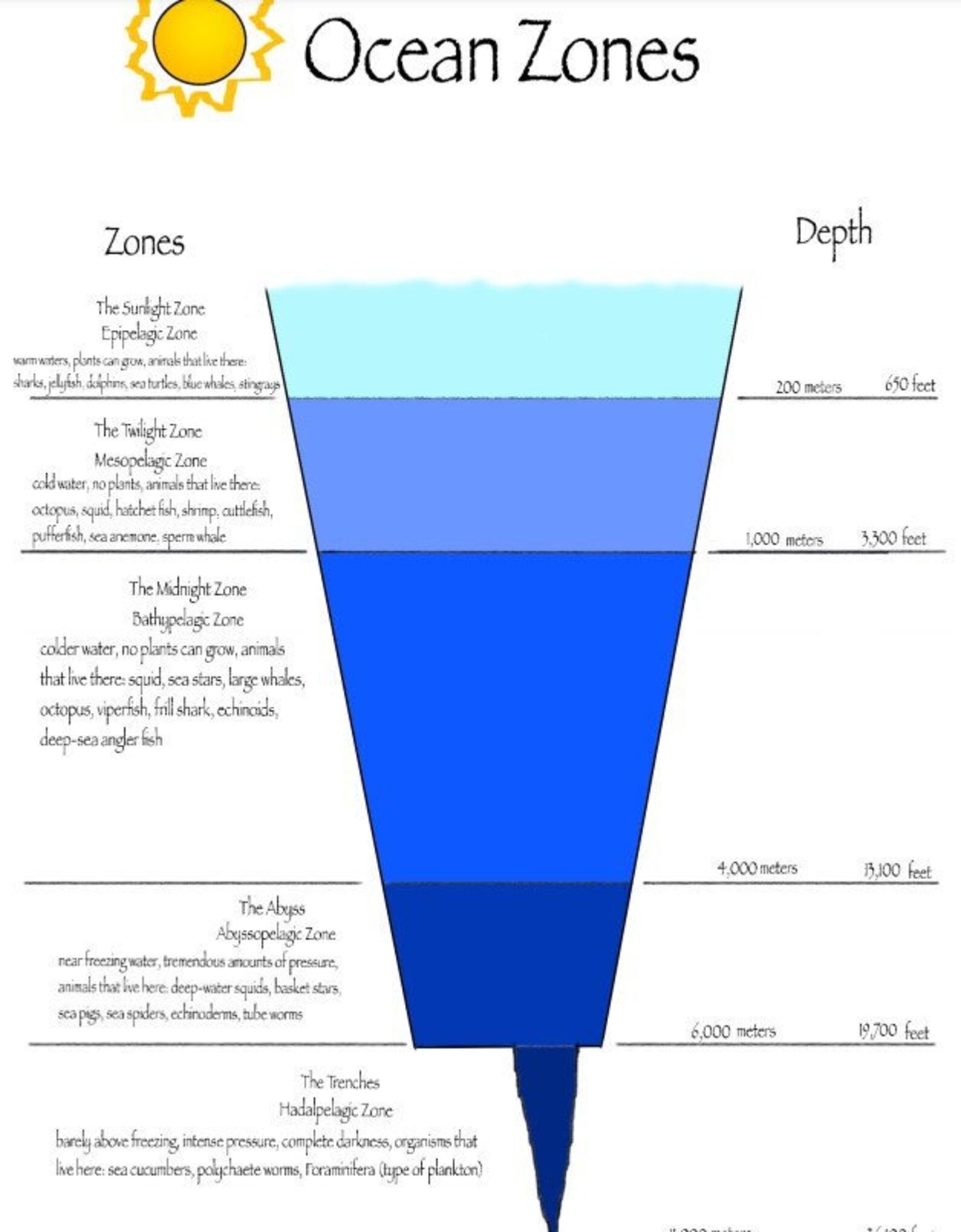 Printable Ocean Zones Diagrams | Digital Download Earth Science ...