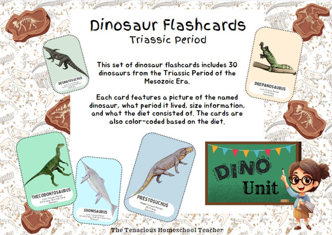 Dinosaur Flashcards - Triassic Dinos | Dinosaur Cards for Kids - Etsy