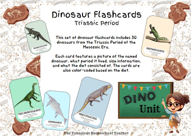 Dinosaur Flashcards - Triassic Dinos | Dinosaur Cards for Kids - Etsy