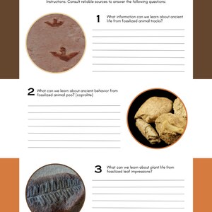 Dinosaur Fossil Activities | Dino Fossils Learning Pages | Prehistoric ...