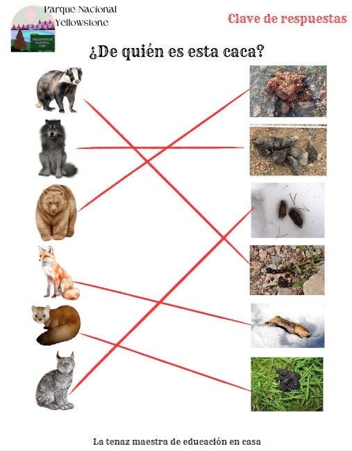 Imprimibles Del Parque Nacional Yellowstone | Descarga Digital De ...