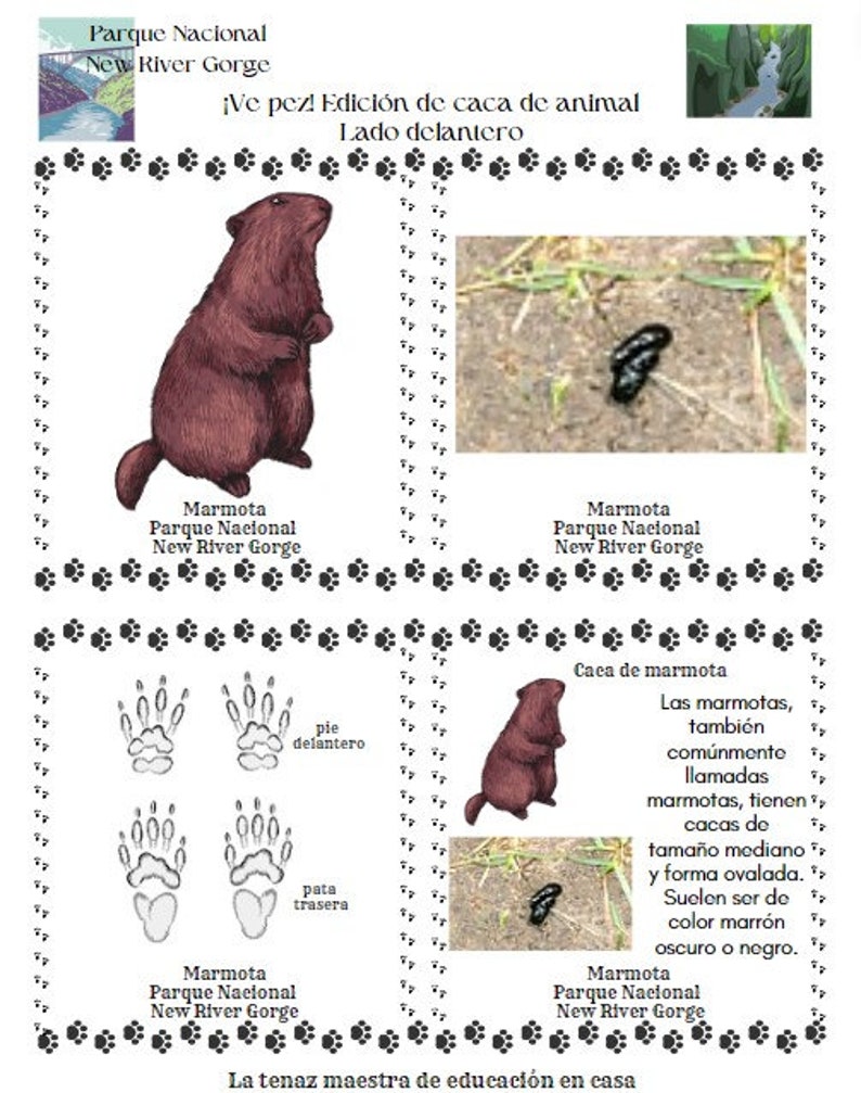Imprimibles Del Parque Nacional New River Gorge | Descarga Digital De ...