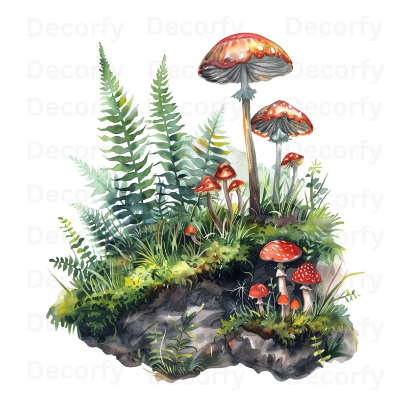 Bundle of 18 Watercolor Mushrooms Clipart Cute Forest Nature Toadstool ...