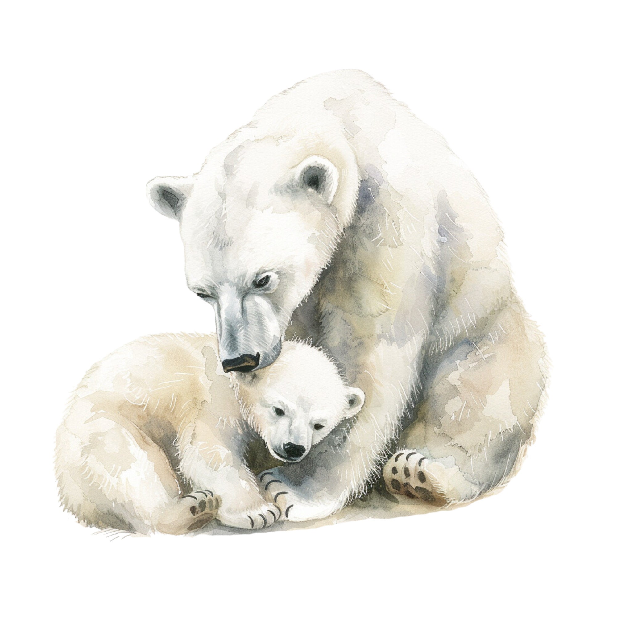 8 Polar Bear and Cub Clipart, Printable Watercolor Clipart, High ...