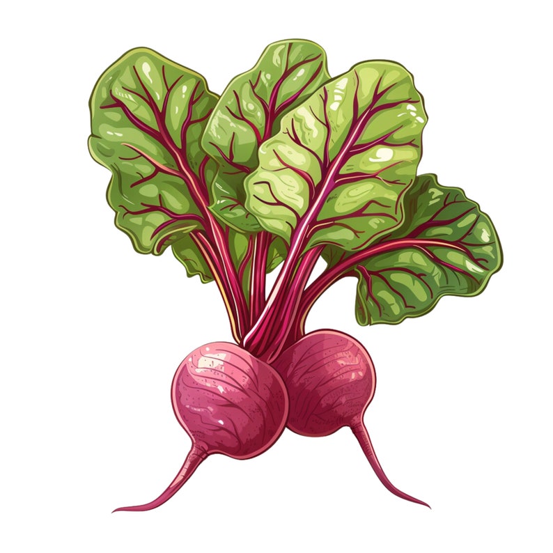 Bundle of 10 Vegetables Clipart, Digital Clipart, Digital Illustration ...