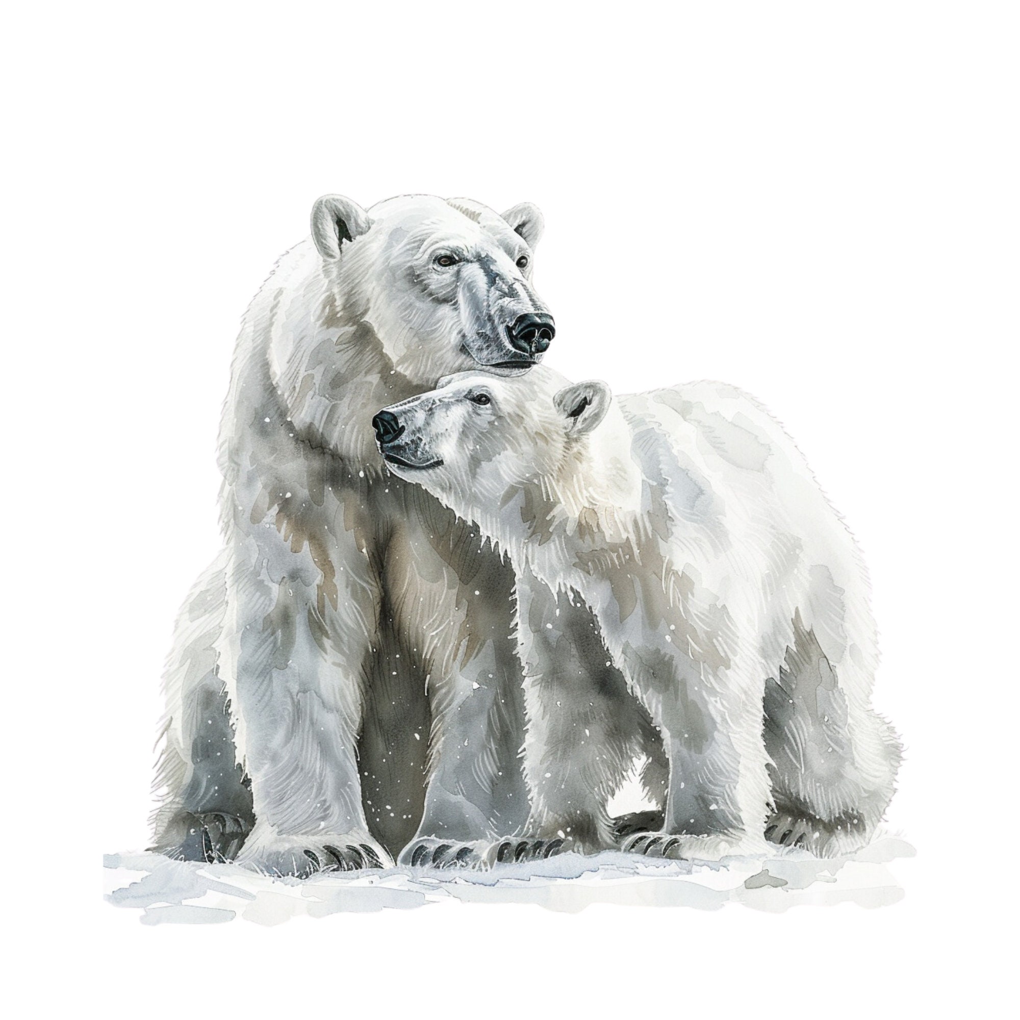 8 Polar Bear and Cub Clipart, Printable Watercolor Clipart, High ...