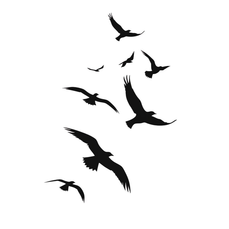 Bird SVG, Bird Svg Bundle, Flying Bird Svg, Animal Svg, Bird Clip Art ...