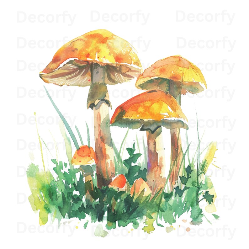 Bundle of 18 Watercolor Mushrooms Clipart Cute Forest Nature Toadstool ...