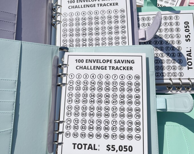 100 Envelopes Money Saving Challenge Book, 100 Envelope Challenge Book ...