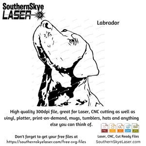 Labrador Retriever Svg Png Jpg Ai Dxf File - Etsy