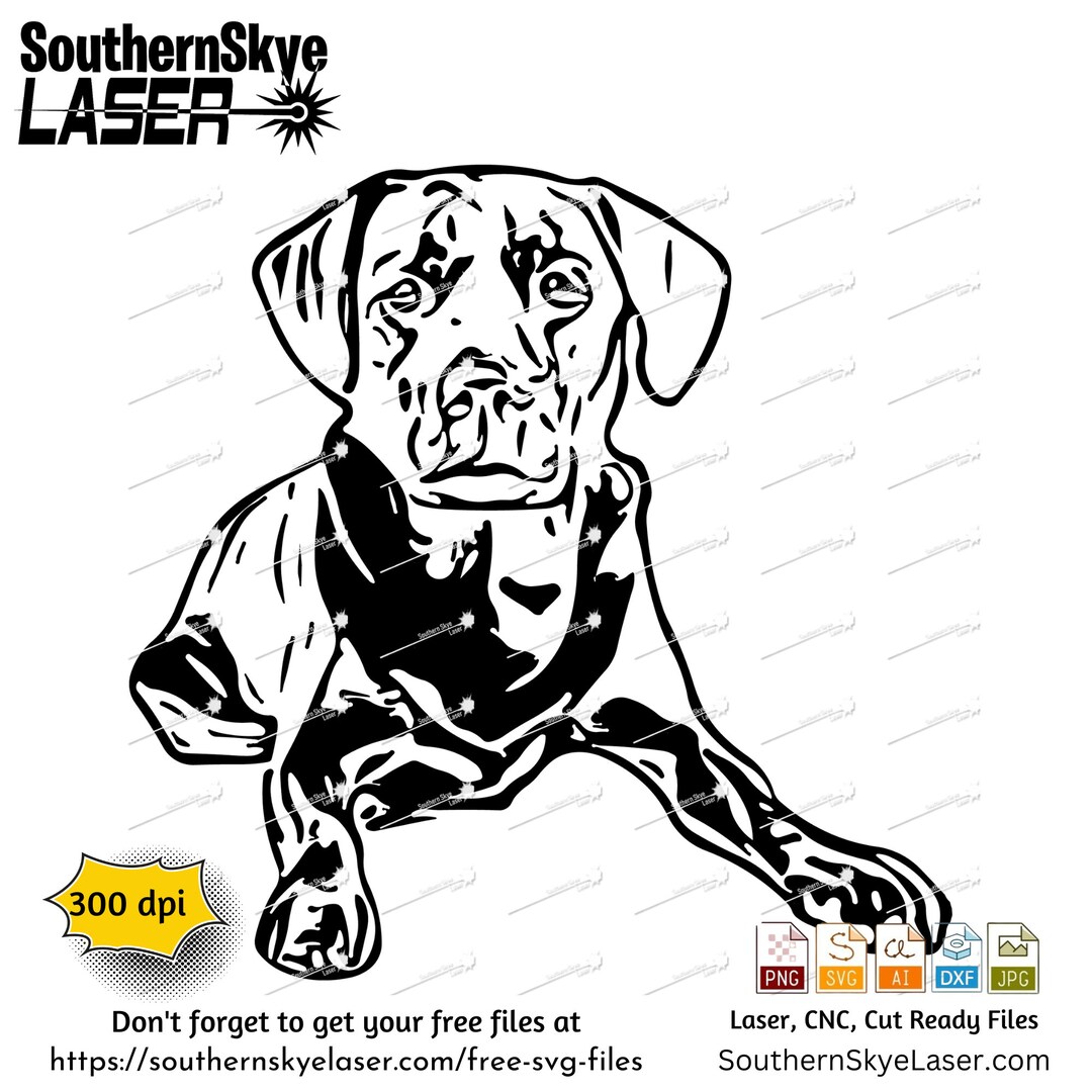 Chocolate Labrador Svg Png Jpg Ai Dxf File - Etsy