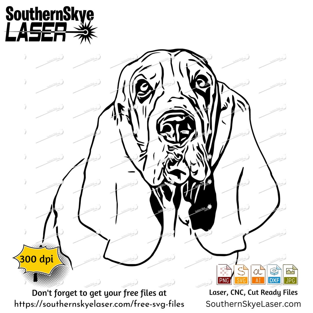 Basset Hound Svg Png Jpg Ai Dxf File - Etsy