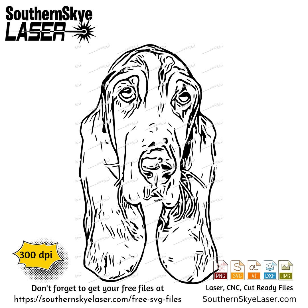 Basset Hound Svg Png Jpg Ai Dxf File - Etsy