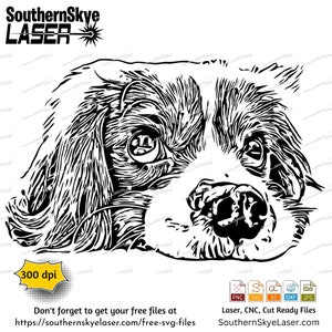 Cocker Spaniel Svg Png Jpg Ai Dxf File - Etsy
