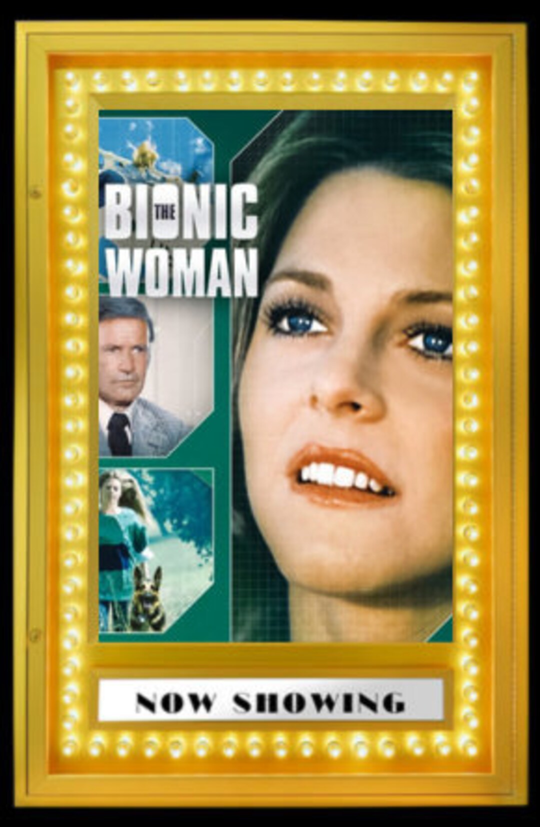 The Bionic Woman Digital Download - Etsy