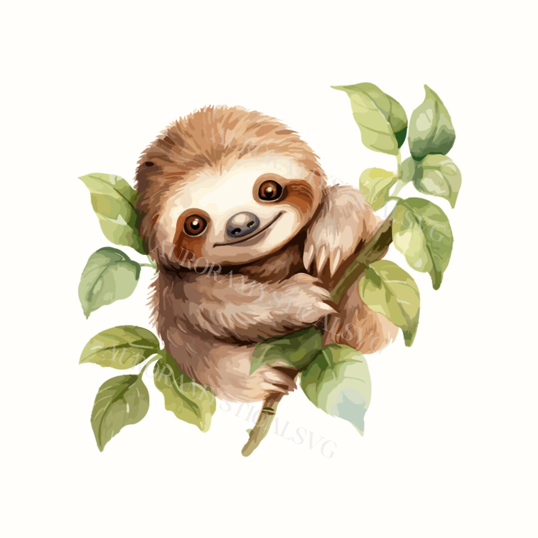 Sloth Svg, Sloth Life Svg, Baby Sloth Svg, Adorable Sloth Svg, Cute ...