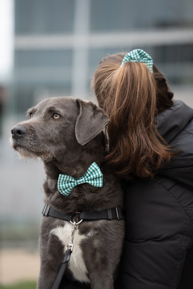 Green Gingham Matching Pet and Owner - Bandana, Bowtie, Knot Headband ...