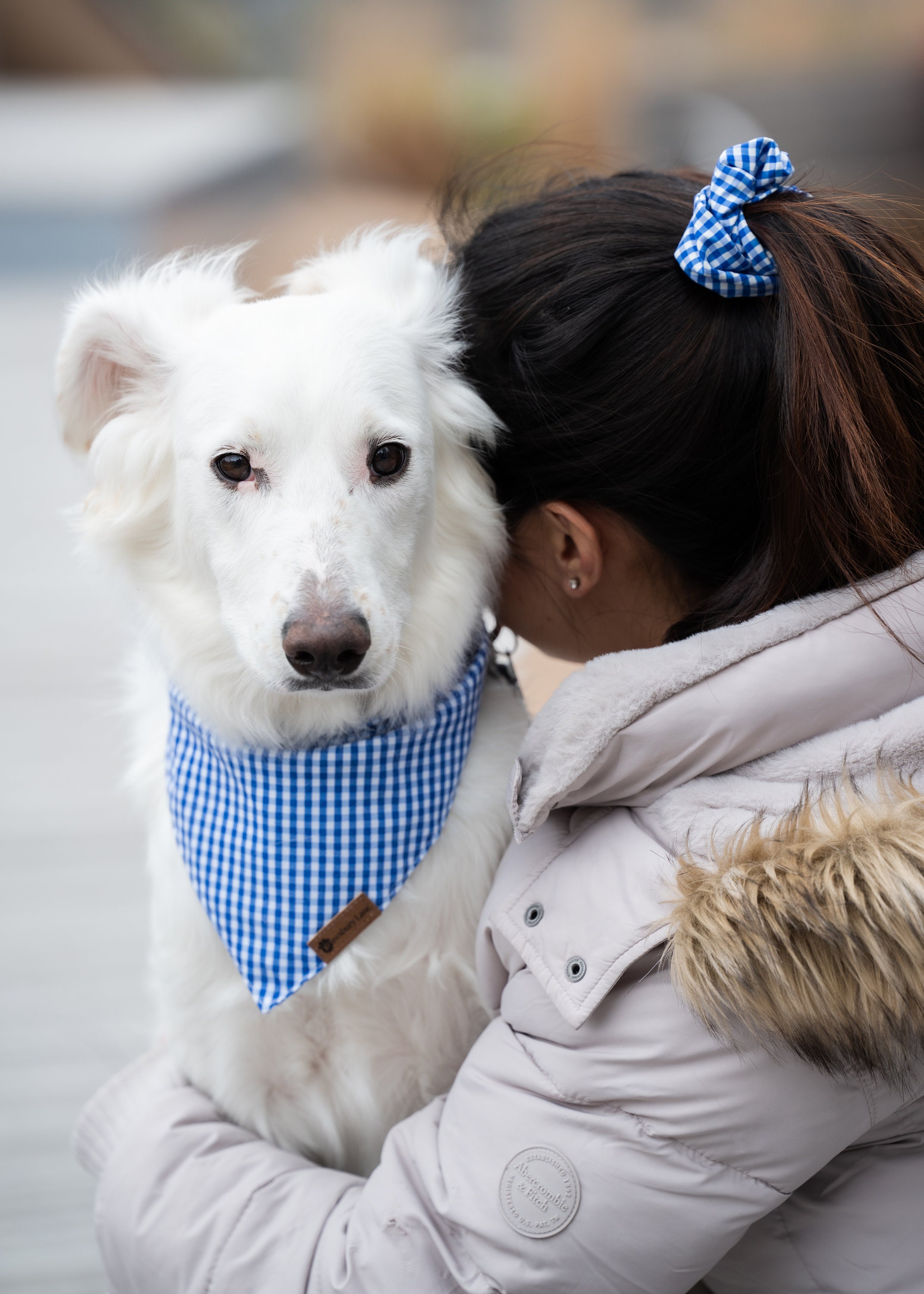 Matching Pet and Owner: Bandana, Bowtie, Knot Headband and Scrunchie ...