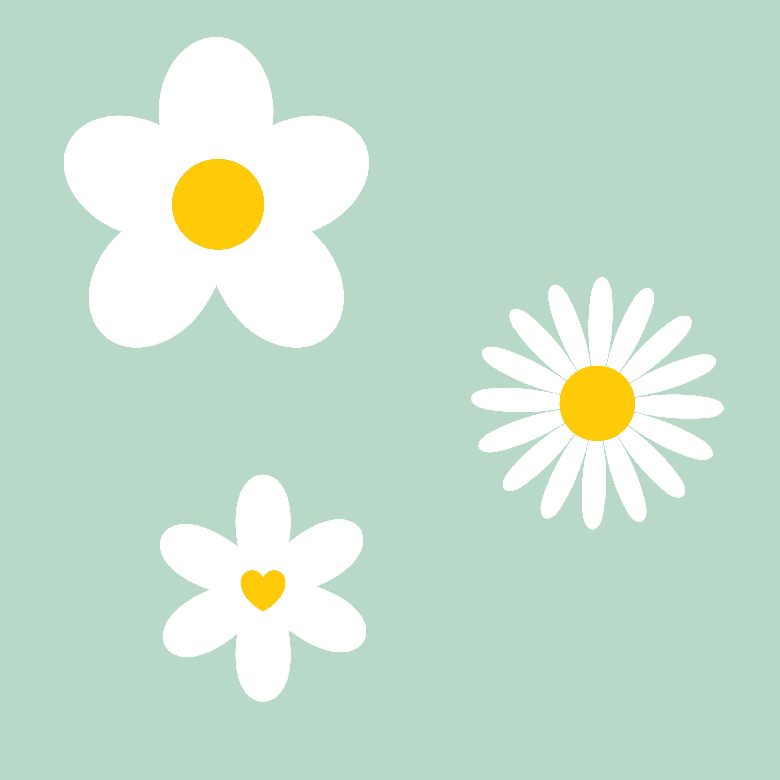 Daisy Svg Daisy Svg Bundle Daisy Flower Svg Daisy - Etsy Australia
