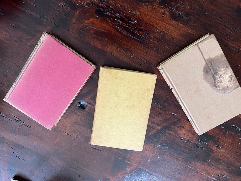 Curated Aesthetic Book Stack Shelf Décor Vintage Books - Etsy